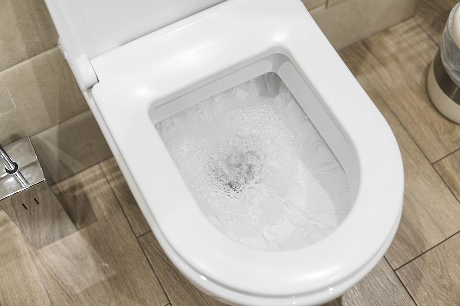 Things You Should Never Flush Down Your Toilet | Sunshine Plumbers of Tampa